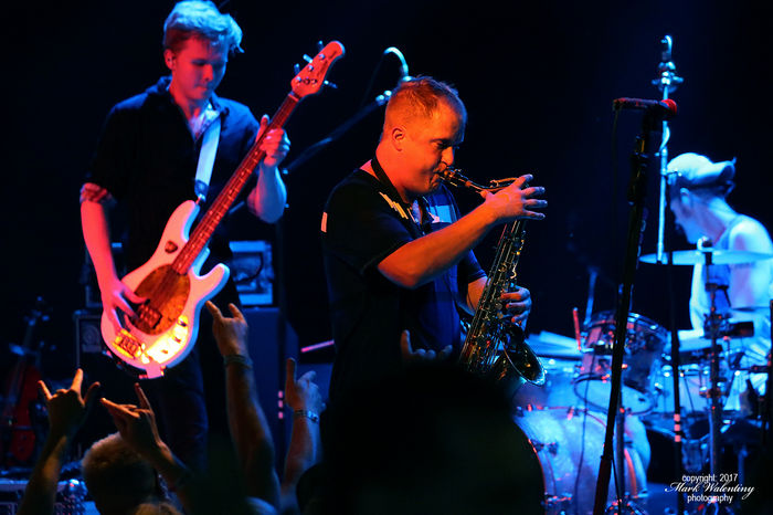 Tripwire Tripwire Photos - 2017 - Moondance Jam